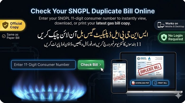 SNGPL Duplicate Bill Online – Check & Print Gas Bill Copy